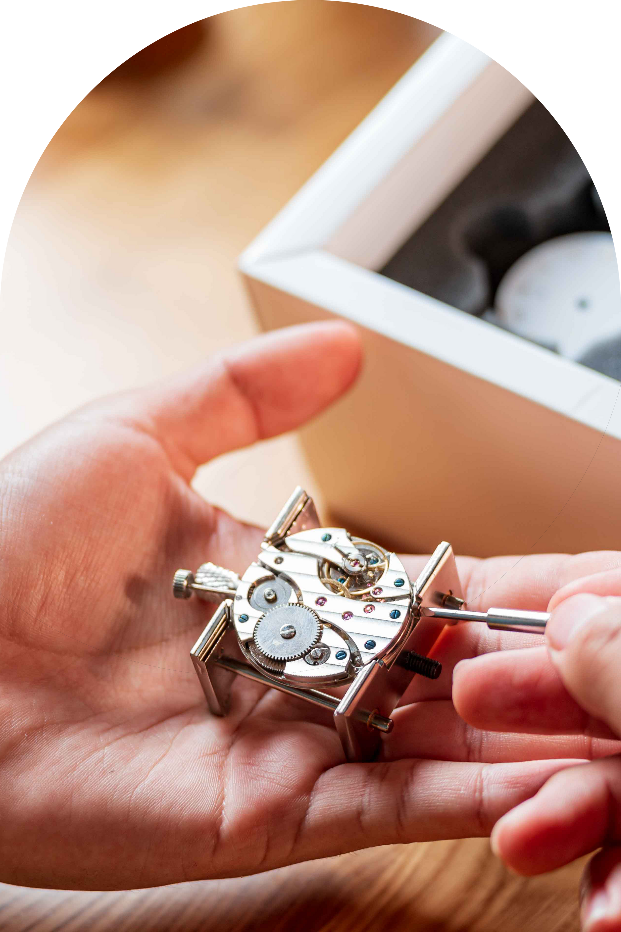 About Us | Watch Building Kits | Rotate Watches